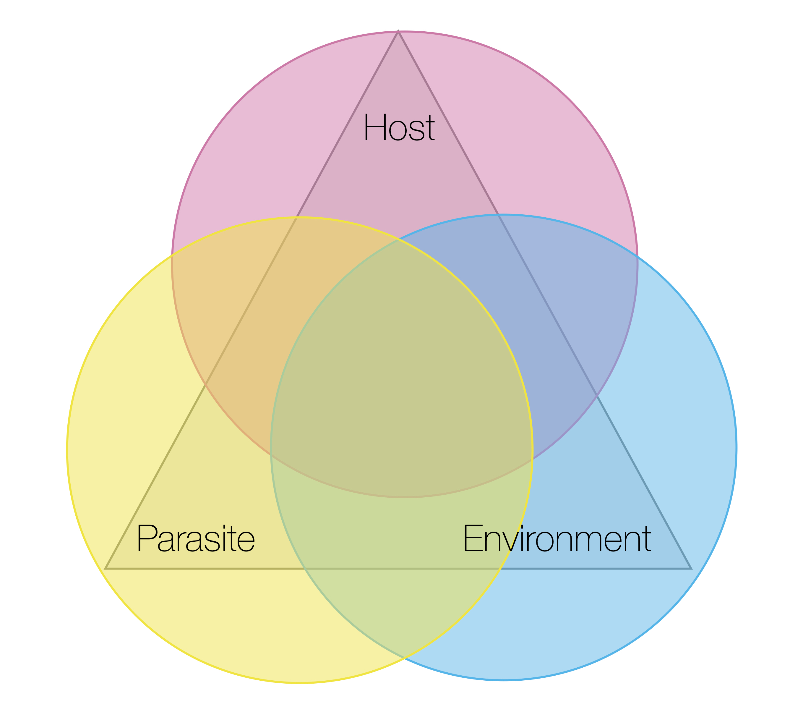 Research – Fletcher Halliday