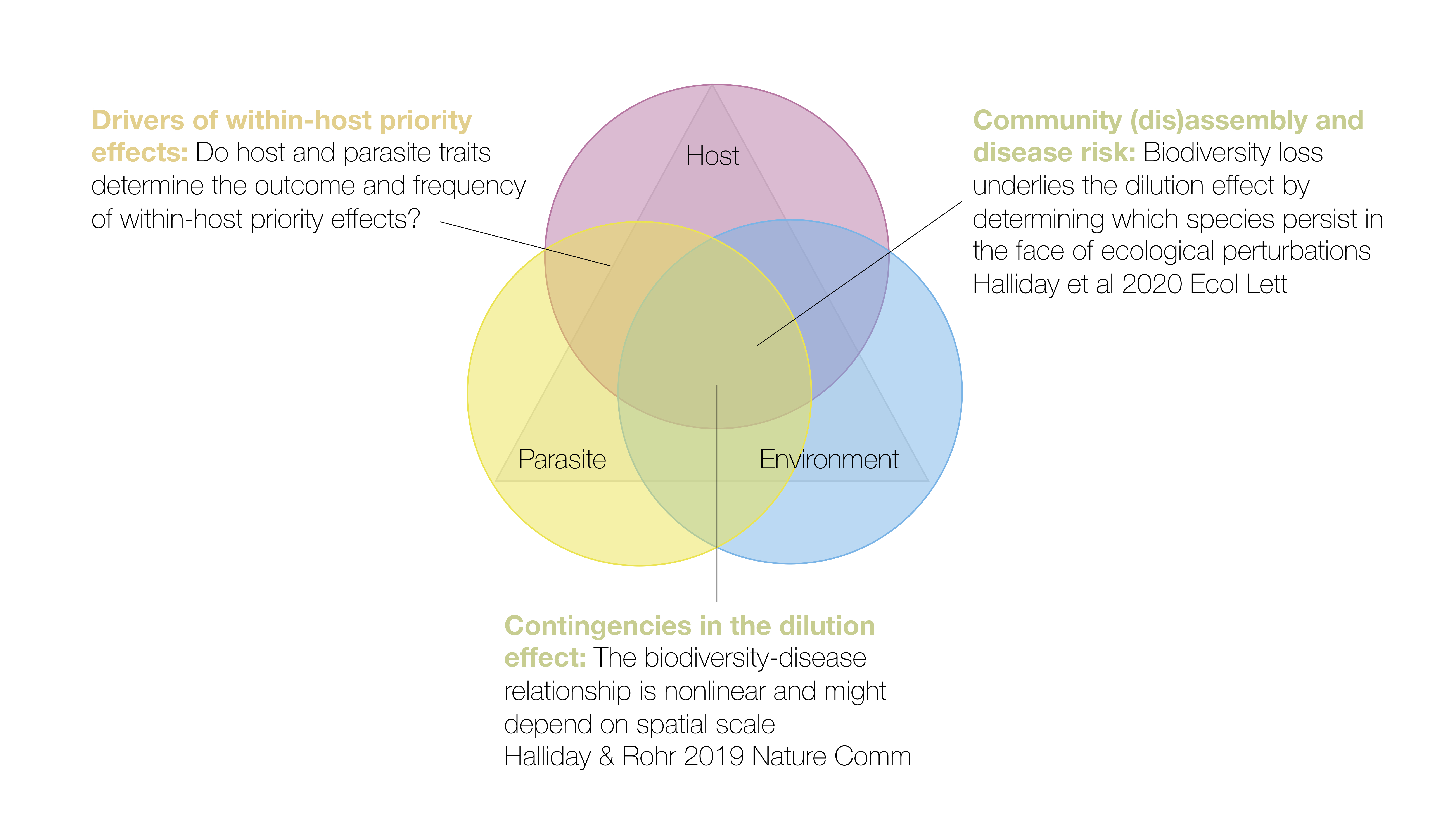 Research – Fletcher Halliday